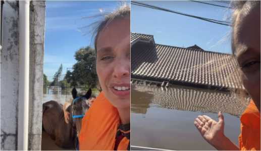 Luisa Mell relata desespero em Canoas, no RS: 'estão assaltando os ...