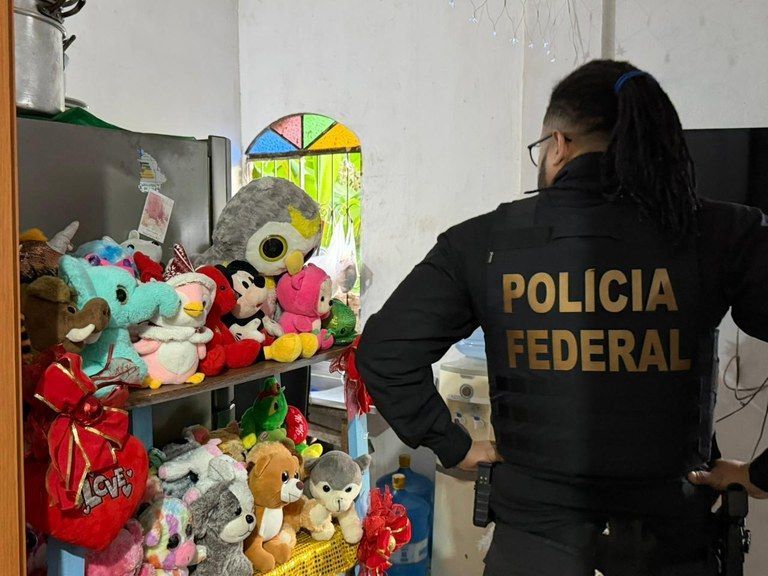 PF deflagra operação nacional contra abuso sexual infantil na internet ...