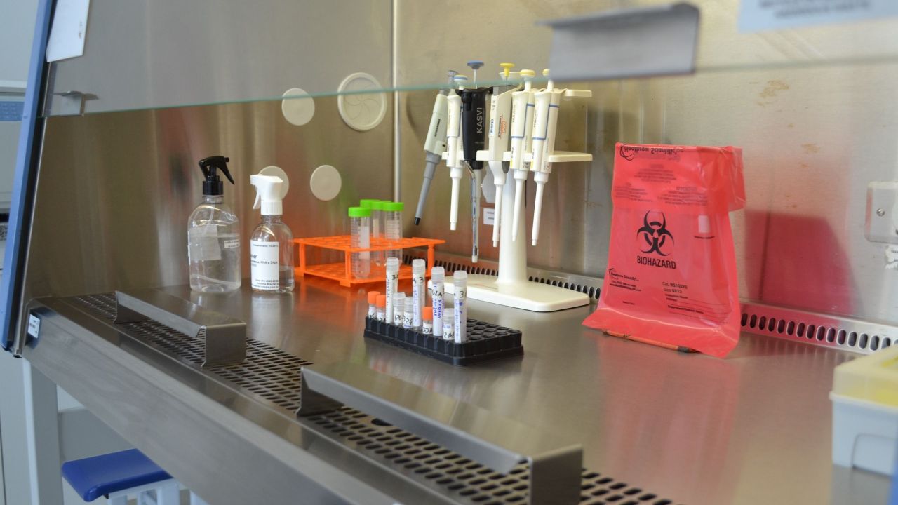 Laboratório da Ufla passa a diagnosticar Oropouche, Mayaro e Febre ...