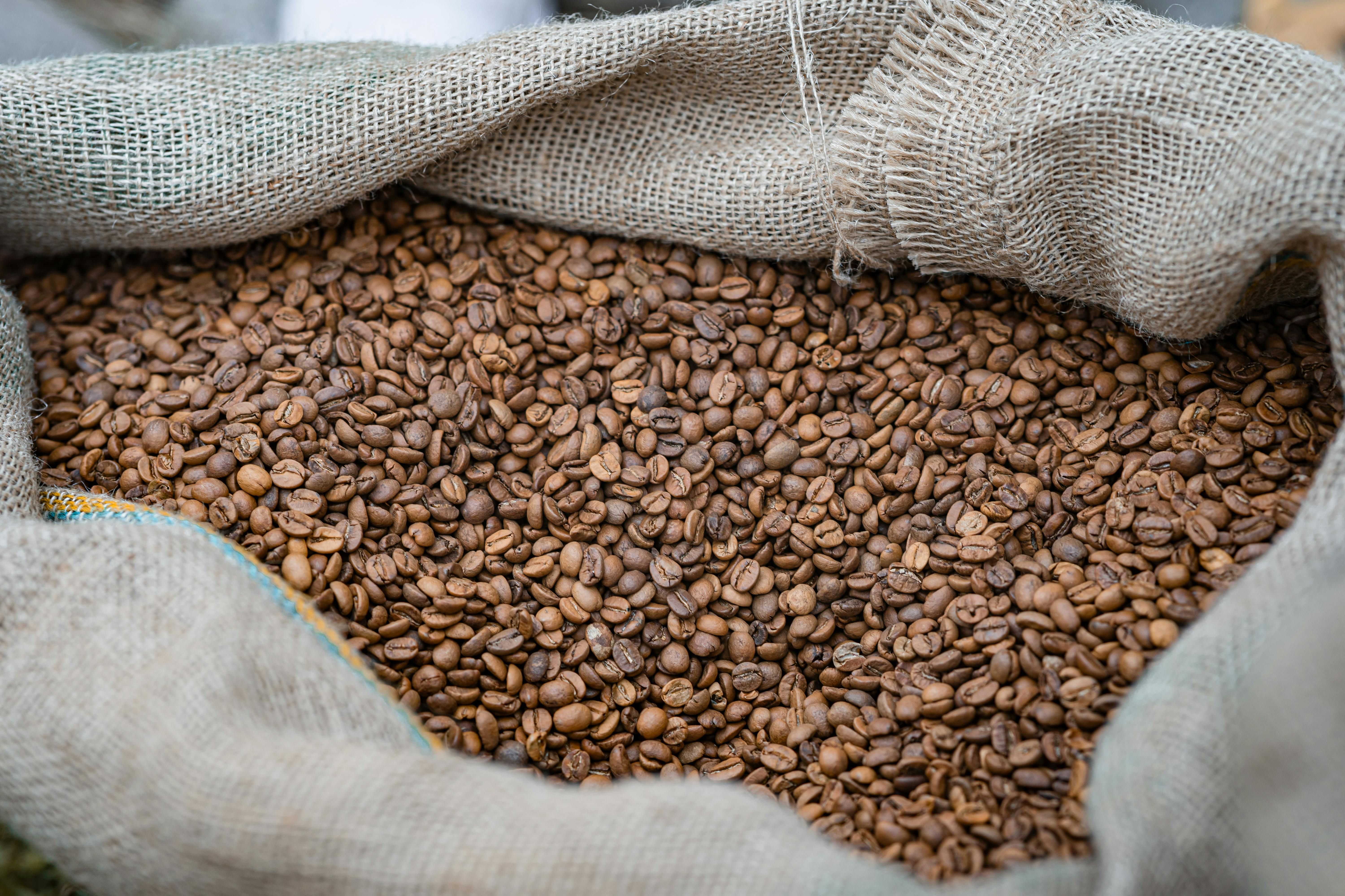 Governo define preços mínimos para café, laranja e trigo na safra 2026/ ...