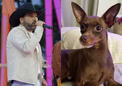 Cachorro de Edson, da dupla com Hudson, é encontrado morto após ...